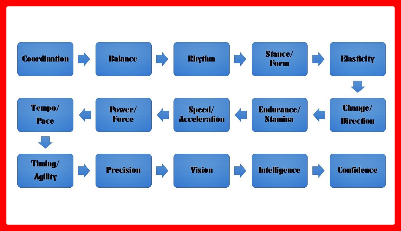 Total Football & Kinetics | VIKING BARCA
